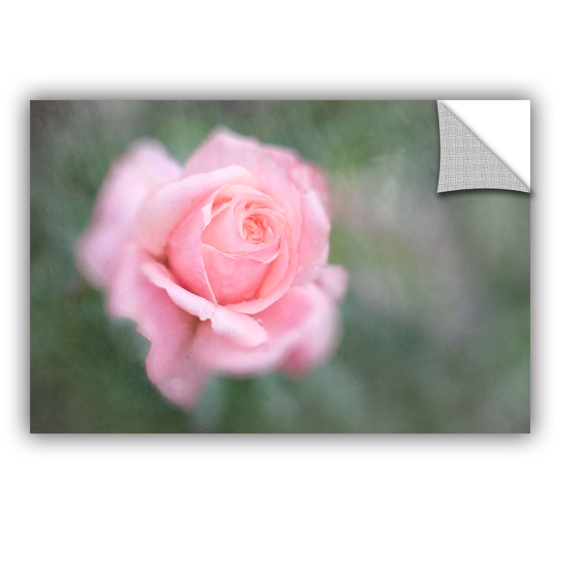 August Grove® Pink Rose Removable Wall Decal | Wayfair