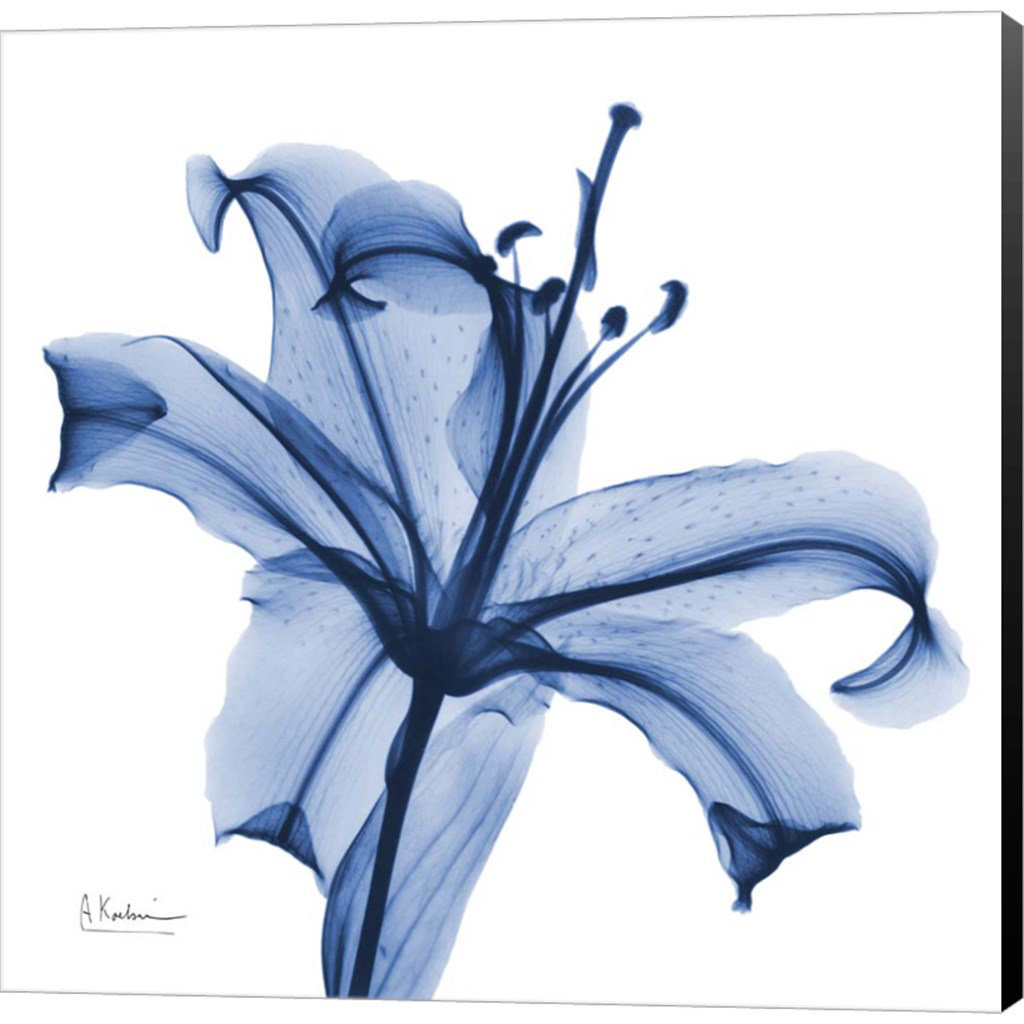 Latitude Run® Glorious Indigo Lily Wall Décor | Wayfair