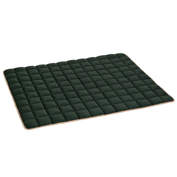 Doctor Bark Reversible Cotton/Polyester Blanket | Wayfair.co.uk