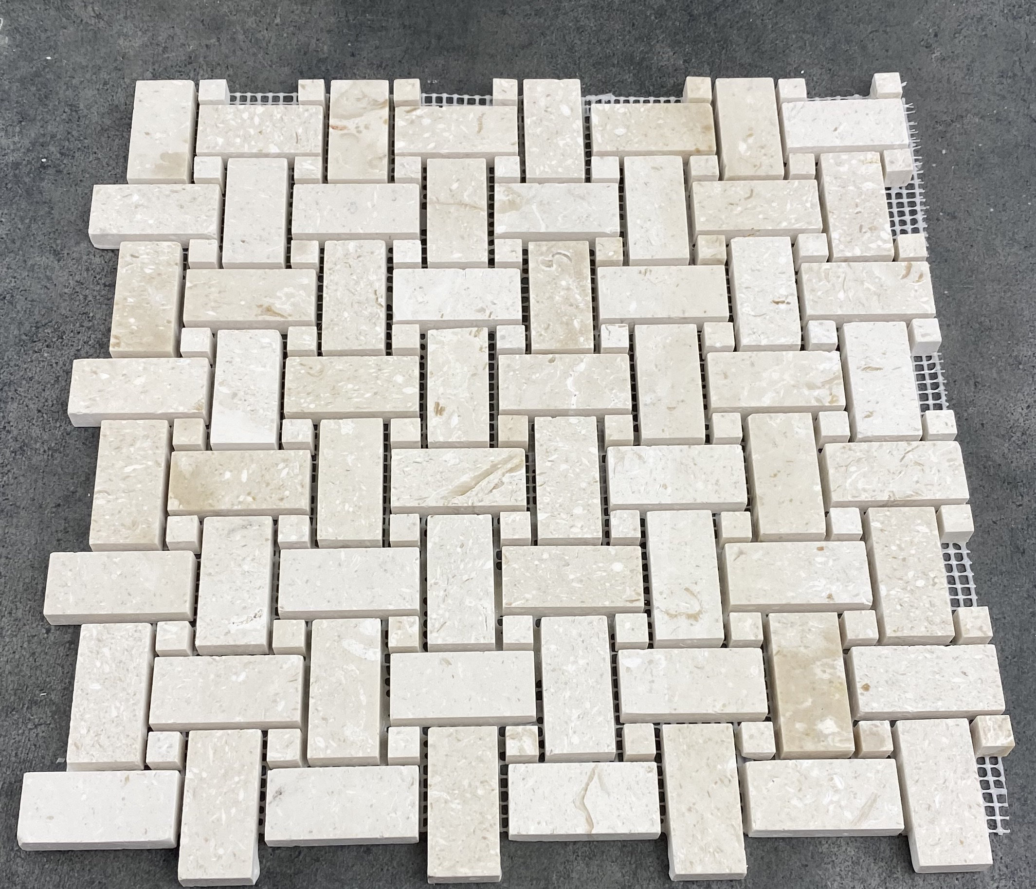 Miletos Stone Collection Shellstone 1" Travertine Mosaic Tile | Wayfair