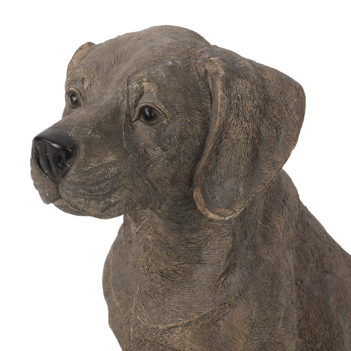 Red Barrel Studio® Outdoor Dog Garden Statue & Reviews | Wayfair