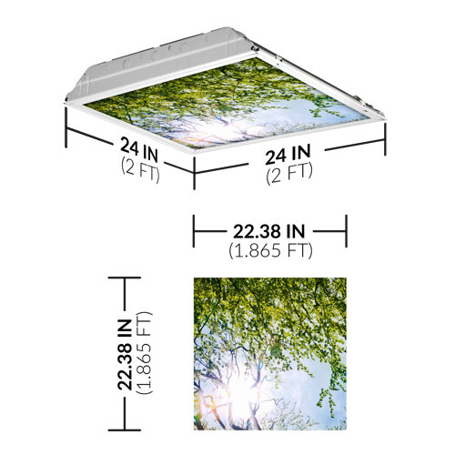 Octo Lights Trees Flexible Decorative Light Cover | Wayfair