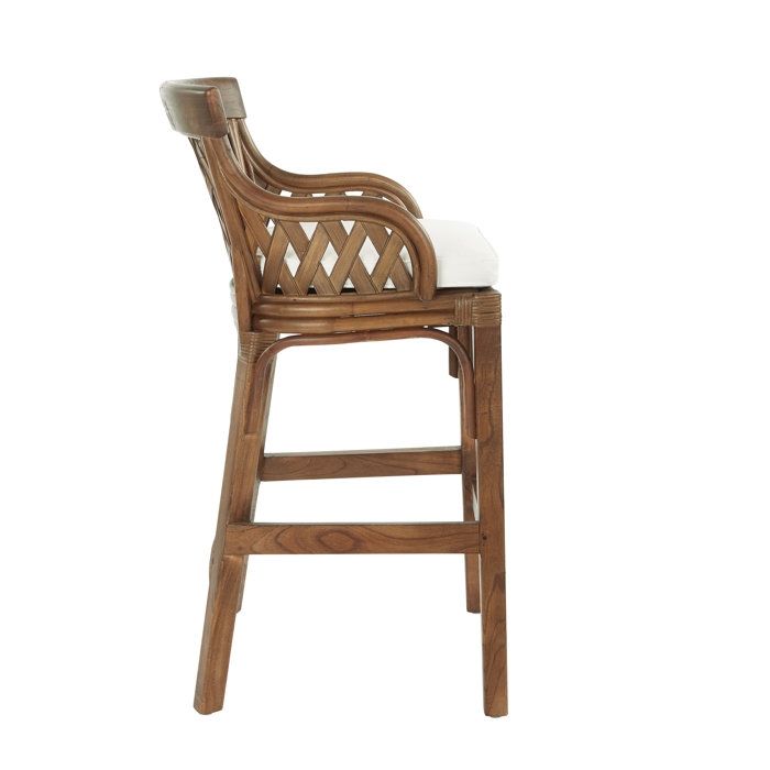 Bayou Breeze Jaramillo Bar & Counter Stool & Reviews | Wayfair