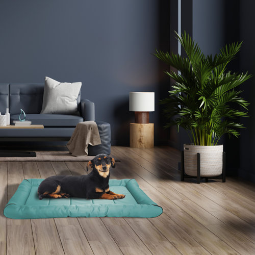 Tucker Murphy Pet™ Foye Extra Tuff Crate Mat & Reviews | Wayfair