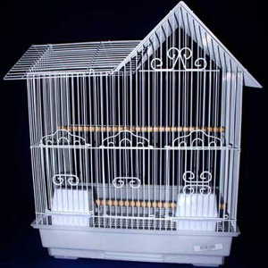 YML 20'' Steel Pointed Top Table Top Bird Cage with Perch | Wayfair