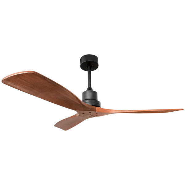 Ivy Bronx Chikatara Ceiling Fan | Wayfair