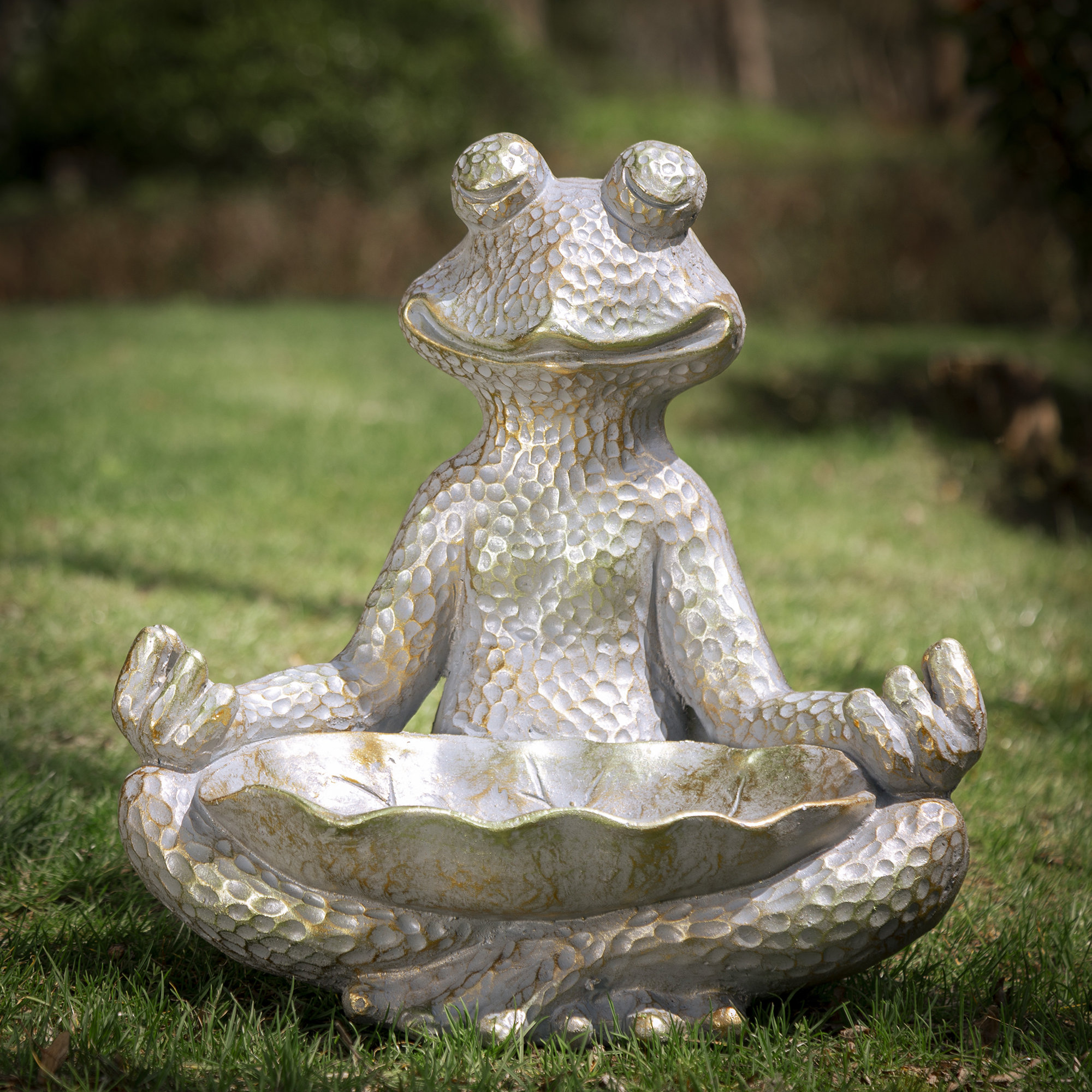 Trinx Bronze MGO Yoga Frog Statue & Reviews | Wayfair