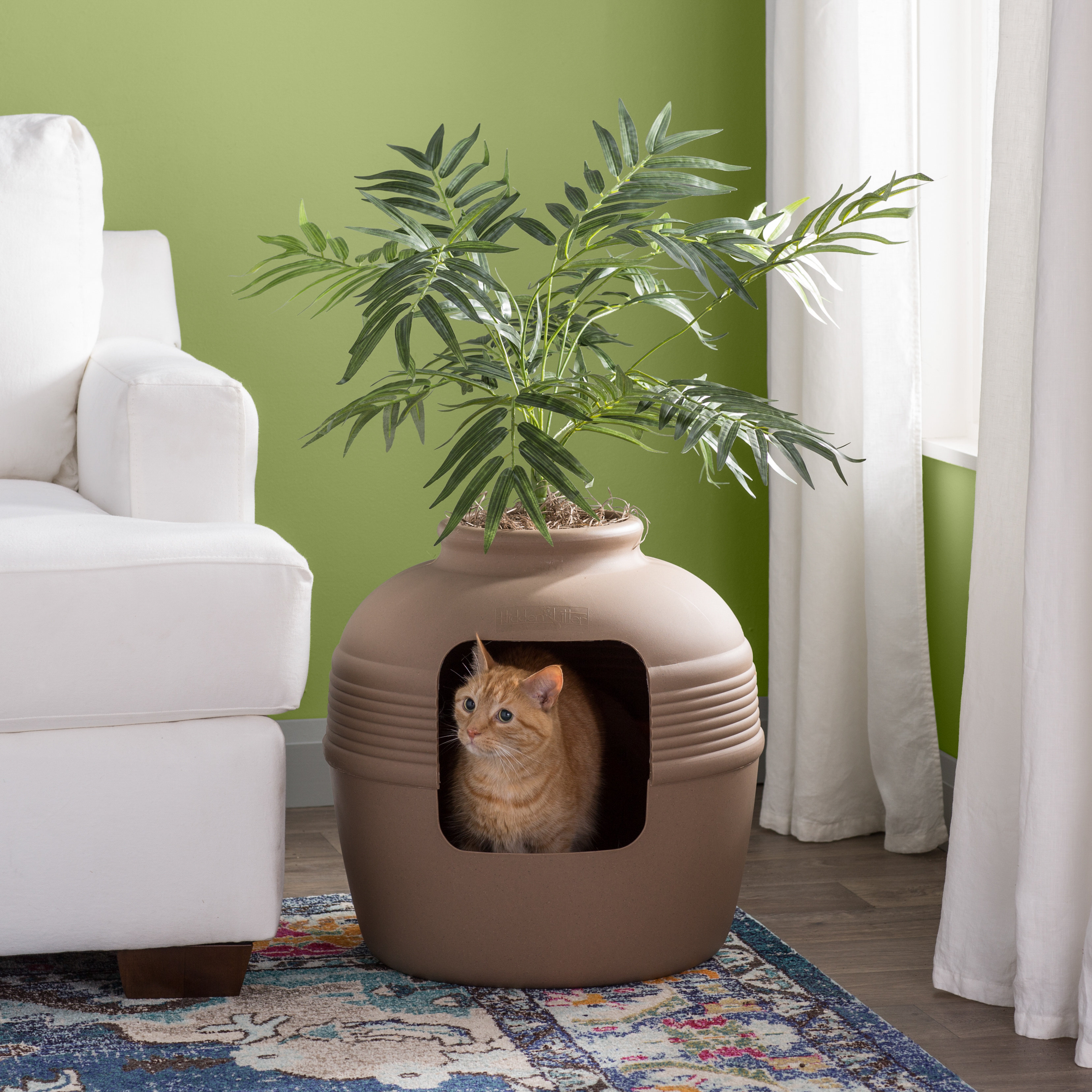 Plant Litter Box Livewire thewire in