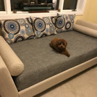 George Oliver Forkey Upholstered Daybed & Reviews | Wayfair