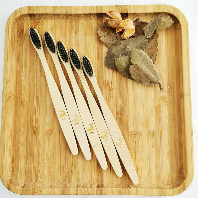 Blar Biodegradable Toothbrush Holder & Reviews | Wayfair