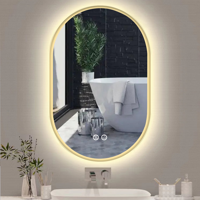 Orren Ellis Oval LED Wall Mirror | Wayfair