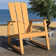 Bayou Breeze Ashlynn San Juan Solid Wood Adirondack Chair | Wayfair