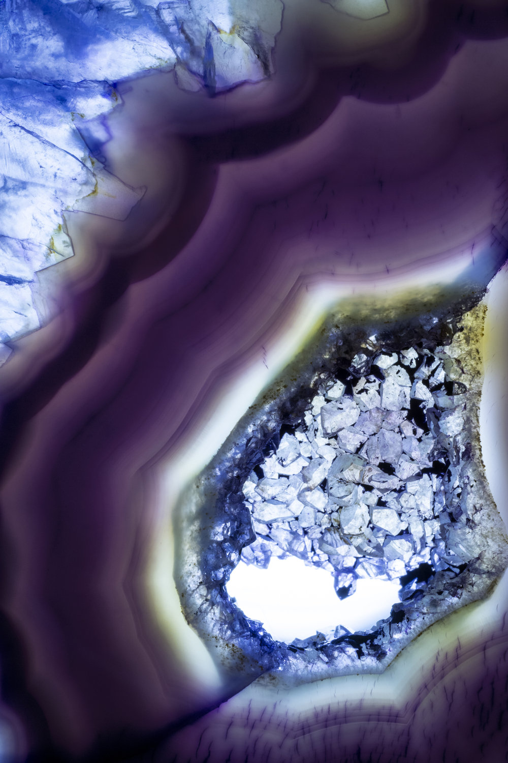 Orren Ellis Purple Agate Stone by Tamjkelly - Wrapped Canvas Photograph ...