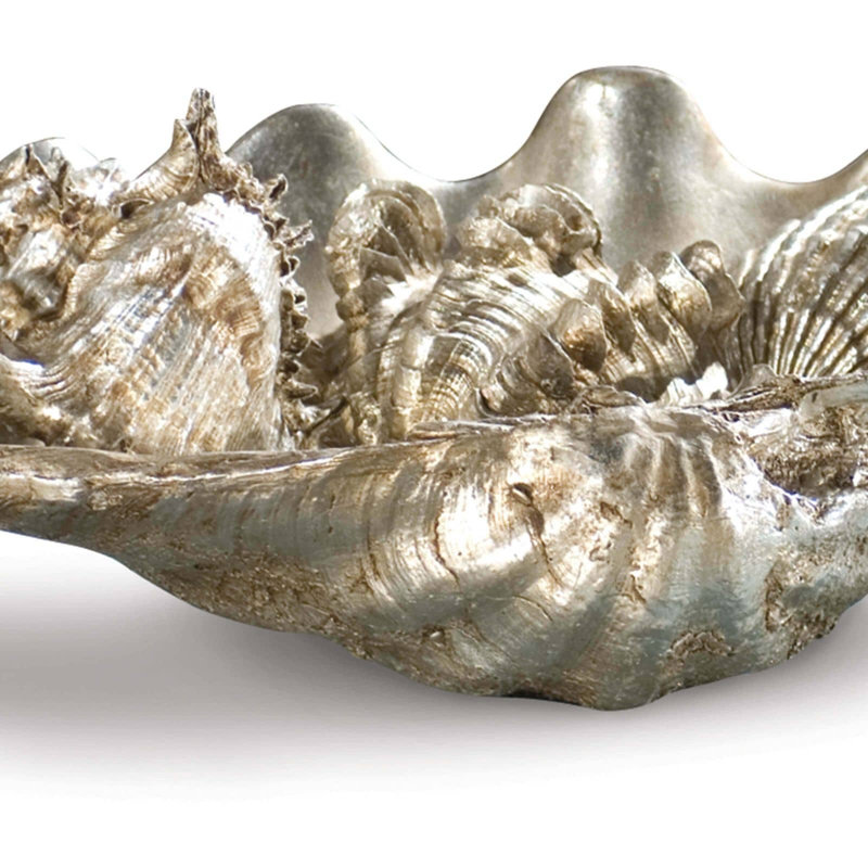ReginaAndrew Med Clam Shell w/ Silver Shells & Reviews | Perigold