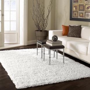 Shag Area Rugs You'll Love in 2022 - Wayfair Canada