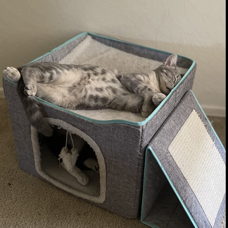 Tucker Murphy Pet™ Chabak Square Cat Bed | Wayfair