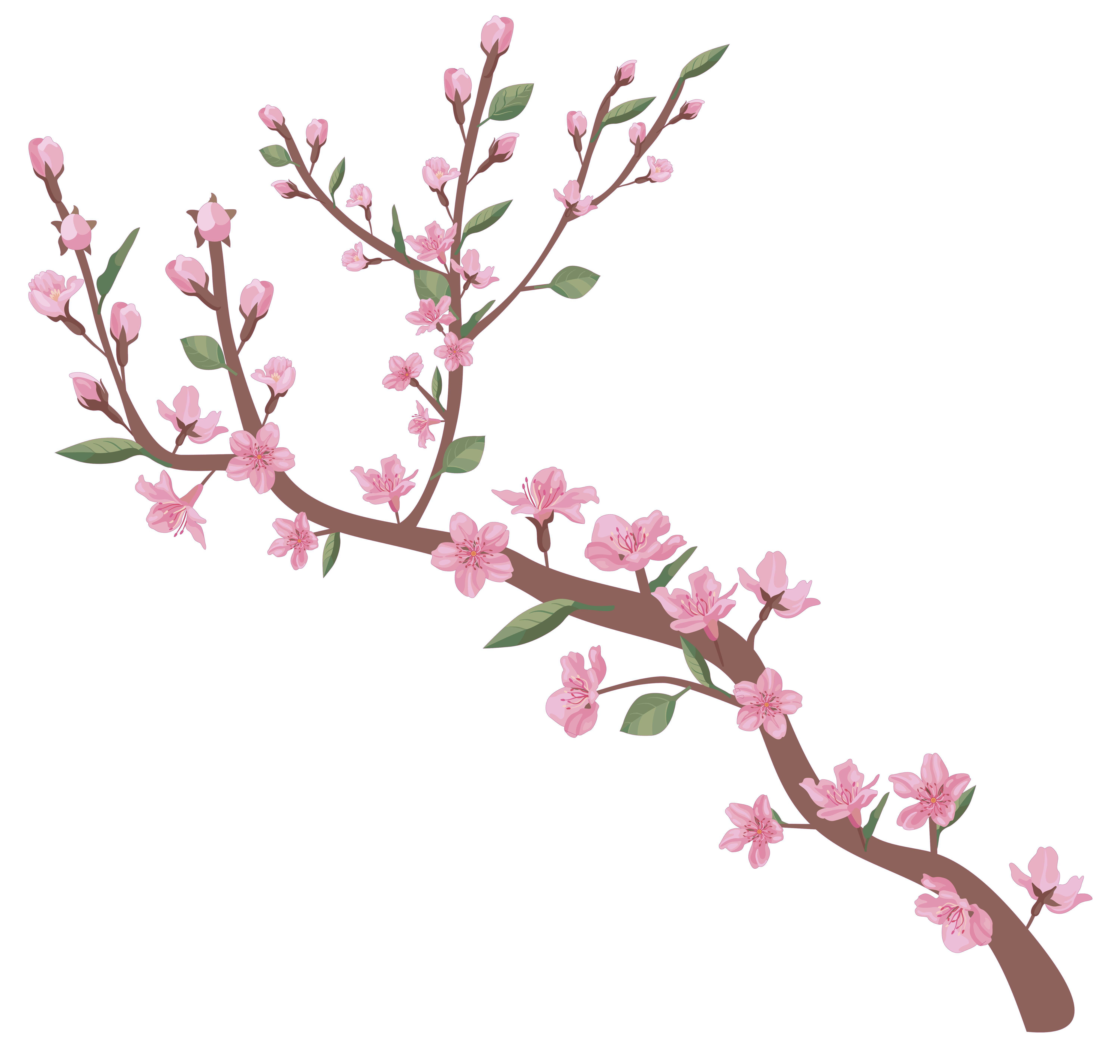 Winston Porter Japanese Sakura Tree Branch Wall Decal | Wayfair