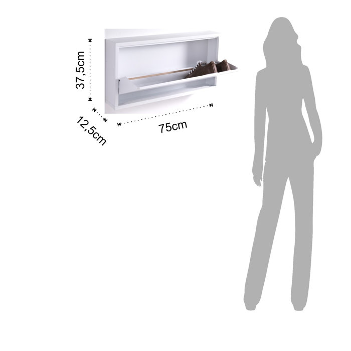 Symple Stuff Terry Wall Mounted 4 Pair Shoe Storage Cabinet & Reviews ...