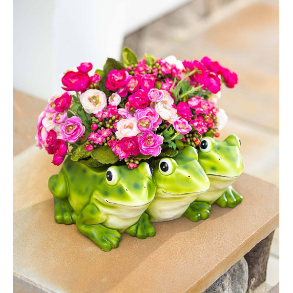 56692 | Wayfair
