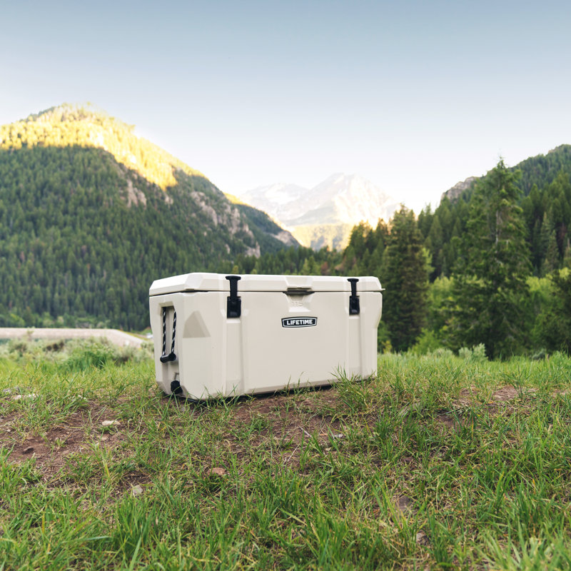 Lifetime 115 Qt. Ice Chest Cooler & Reviews | Wayfair