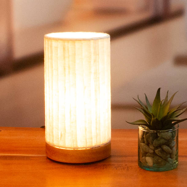 Eangee Home Design Cylinder Night Light & Reviews | Wayfair