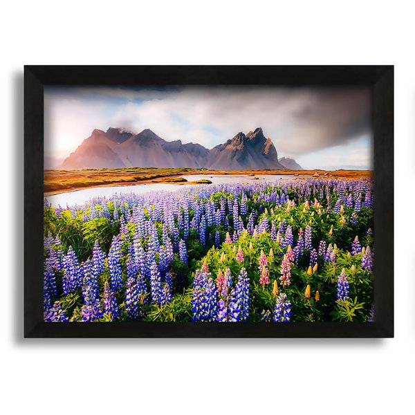 Union Rustic Loopins In The Forest - Picture Frame Photograph on Canvas ...