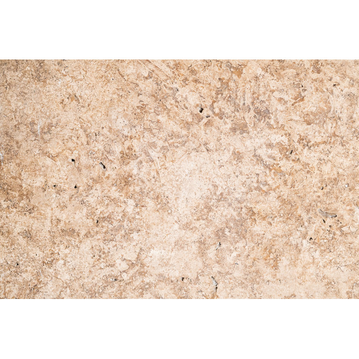 Stone & Tile Shoppe, Inc. Chocolate (Noche) Honed 16" x 16" Travertine ...