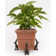 Brambly Cottage Kinley Planter Feet | Wayfair.co.uk