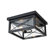 Gracie Oaks Apison 2 - Bulb Outdoor Flush Mount & Reviews | Wayfair