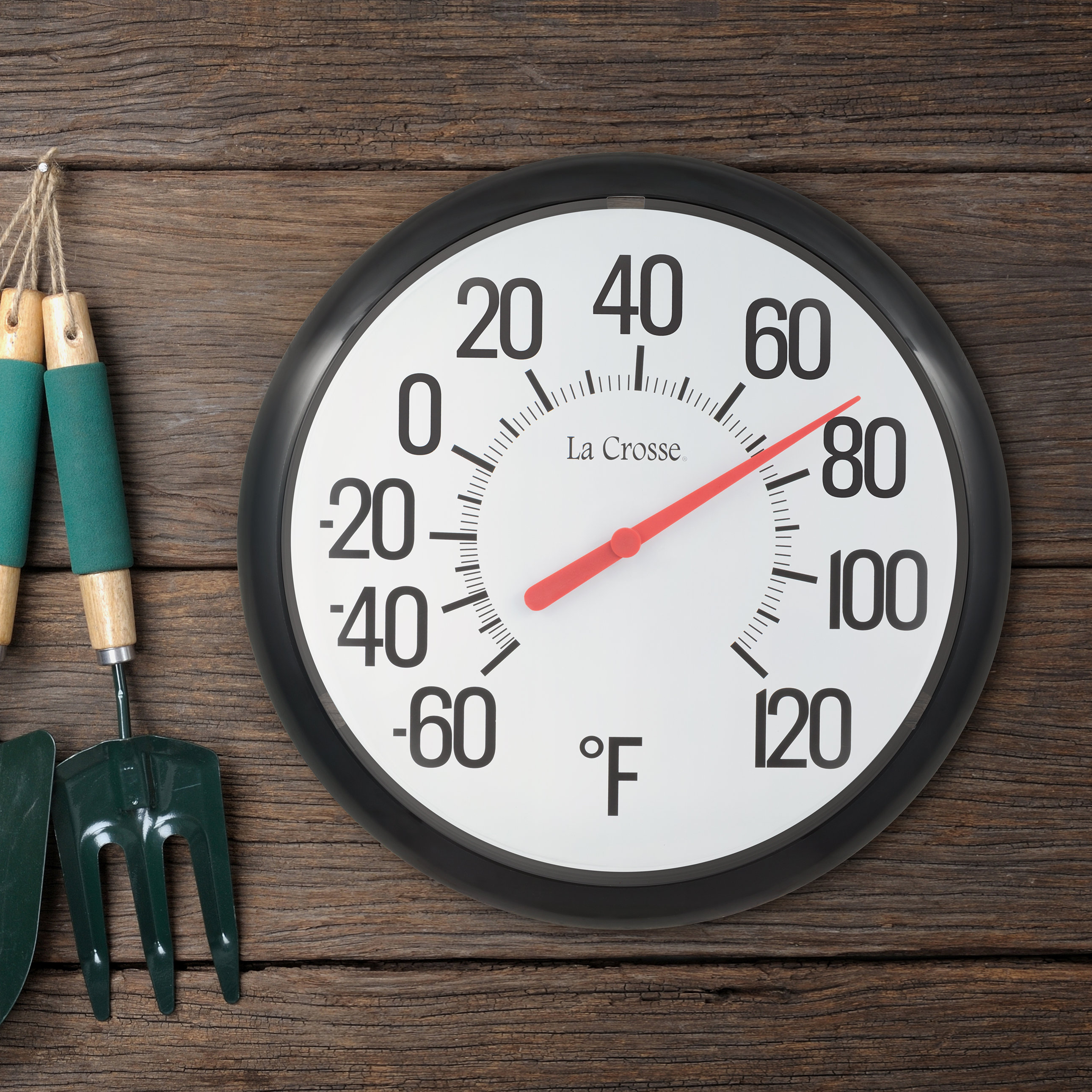 La Crosse Technology Basic Analog Dial Thermometer | Wayfair