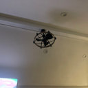 Williston Forge Arezo 27.17" Classic Black Caged Farmhouse Ceiling Fan ...