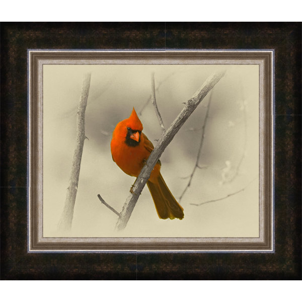 Millwood Pines Male Cardinal - Picture Frame Photograph on Canvas | Wayfair