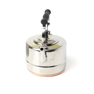 BonJour Tea Stainless Steel and Copper-Base Gooseneck Teakettle, 2 ...