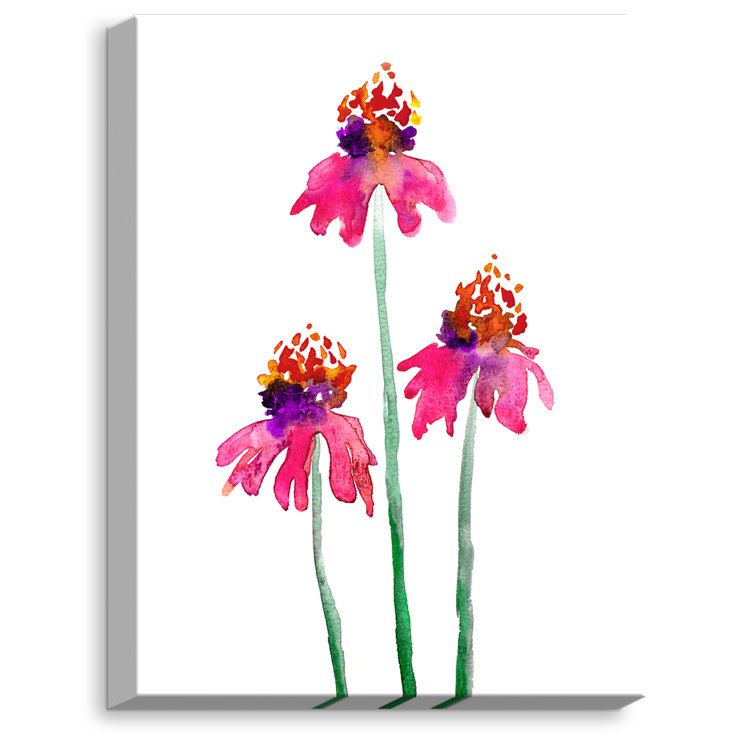 DiaNocheDesigns Echinacea Flowers by Brazen Design Studio - Wrapped ...