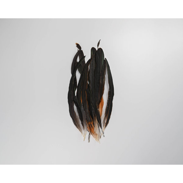 Primrue Rooster Tail Feathers Single Bunch | Wayfair