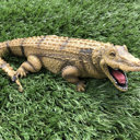 Design Toscano Striker the Alligator Spitter Piped Statue & Reviews ...