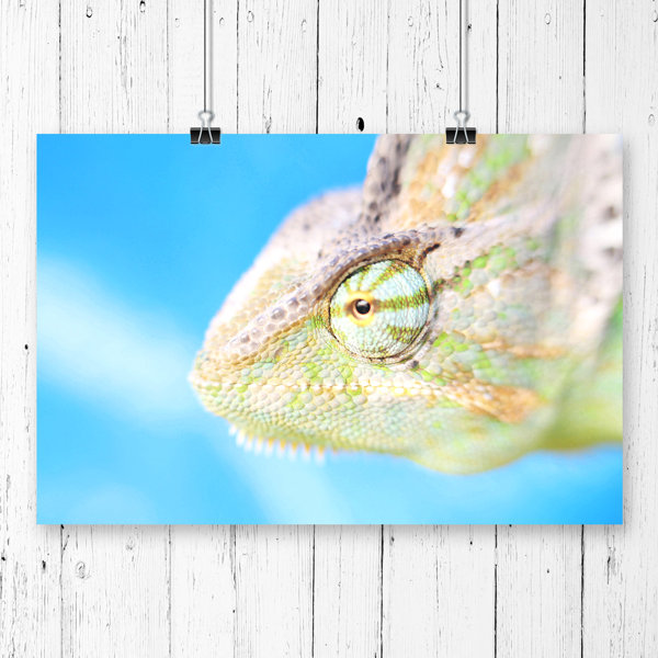 Big Box Art Unframed Photograph | Wayfair.co.uk