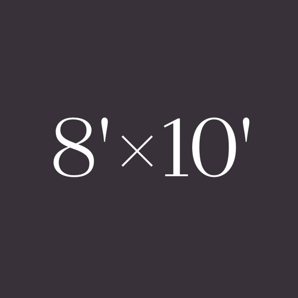 8'x10' Rugs | Joss & Main