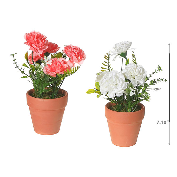 Primrue Carnation Floral Arrangements in Pot | Wayfair