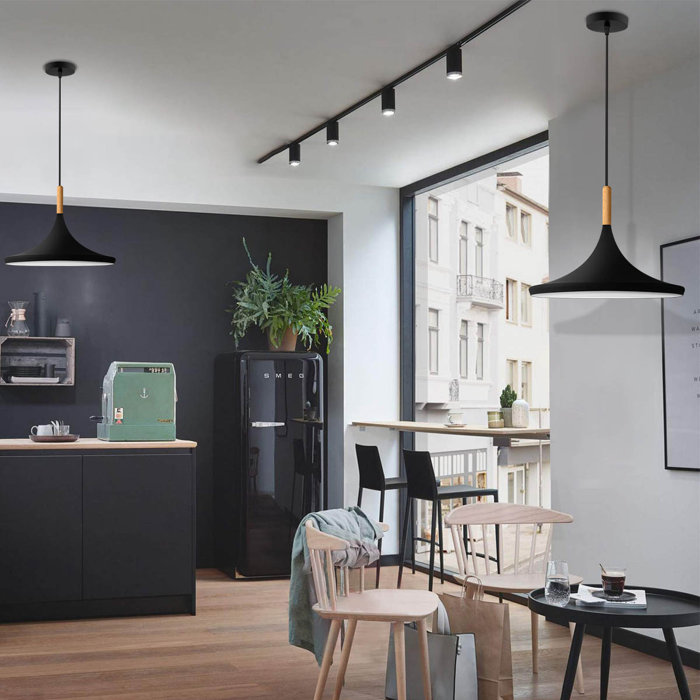 George Oliver Charea 1 - Light Black Single Pendant | Wayfair