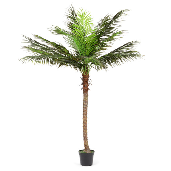 The Seasonal Aisle 210Cm Palm Tree in Pot | Wayfair.co.uk