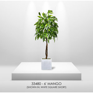 Primrue Hand-Made Primrue All Seasons 6'' Artificial Mango Tree | Wayfair