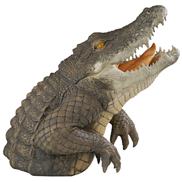 Design Toscano Snapping Swamp Gator Statue & Reviews | Wayfair