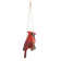 Hi-Line Gift Ltd. Hanging Cardinal on a Branch & Reviews | Wayfair