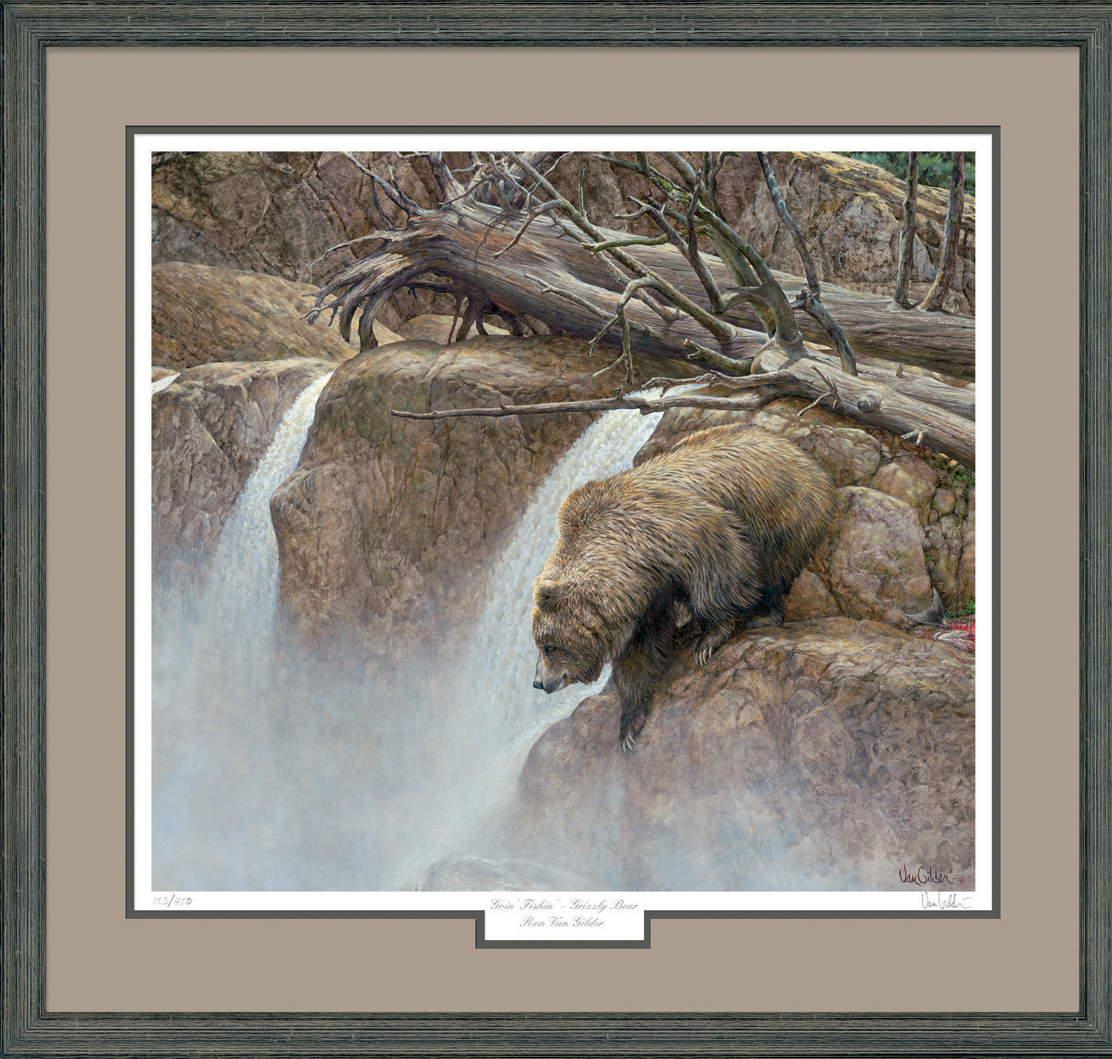 WildWings Goin by Ron Van Gilder - Picture Frame Print | Wayfair