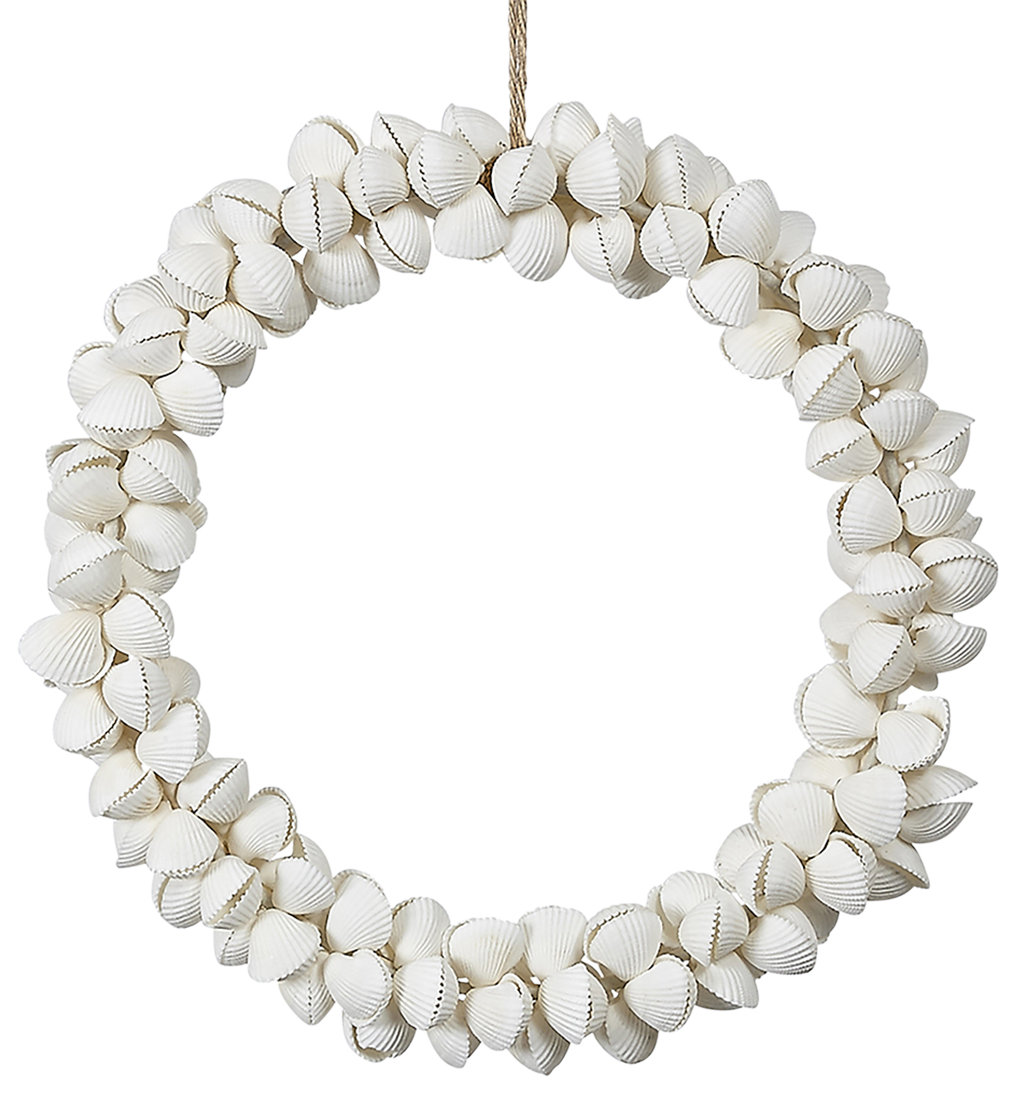 Rosecliff Heights Handcrafted Preserved Shell 6'' Wreath | Wayfair