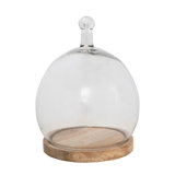 Cloche | Wayfair