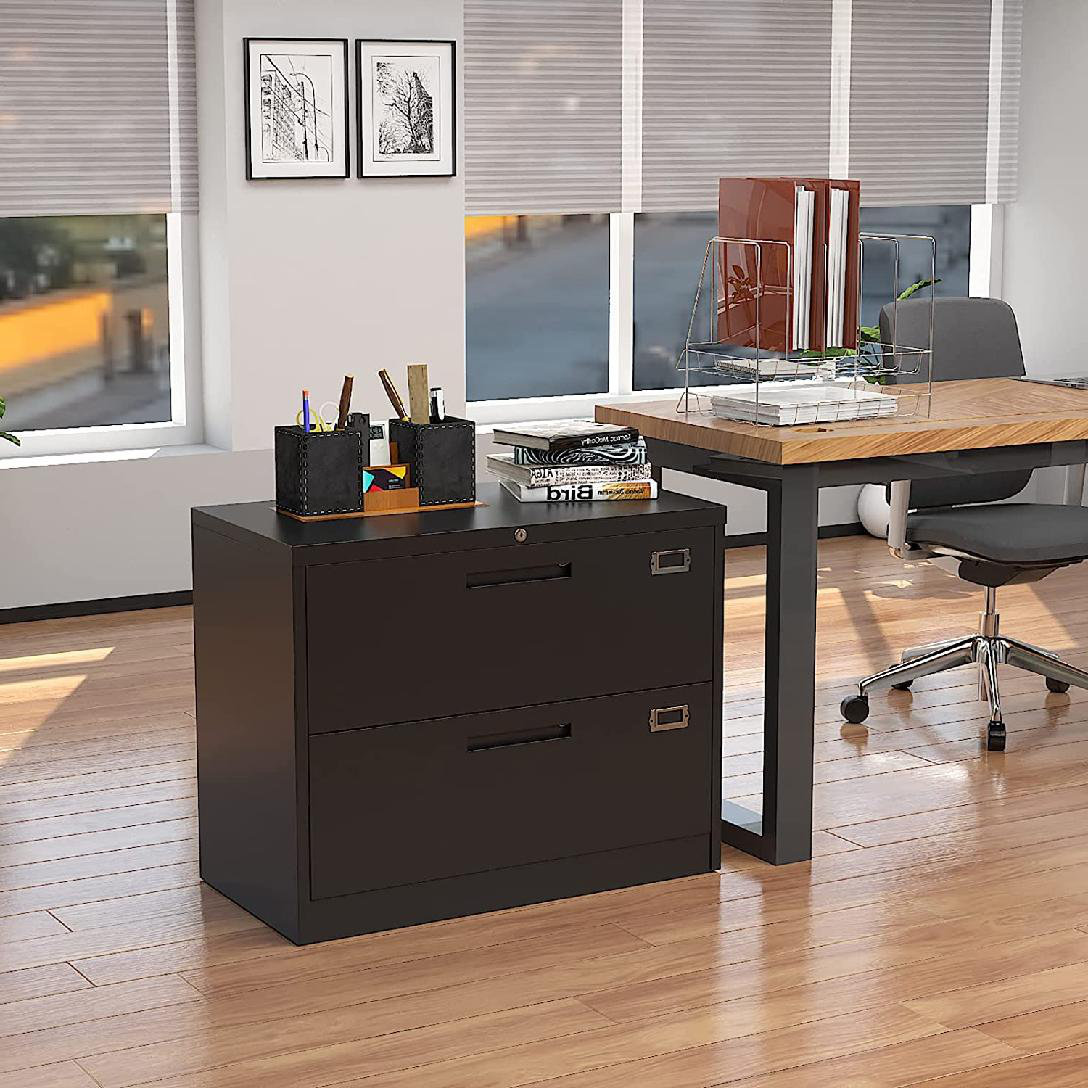 Ebern Designs Noemia 35.4'' Wide 2 -Drawer Steel Lateral Filing Cabinet ...