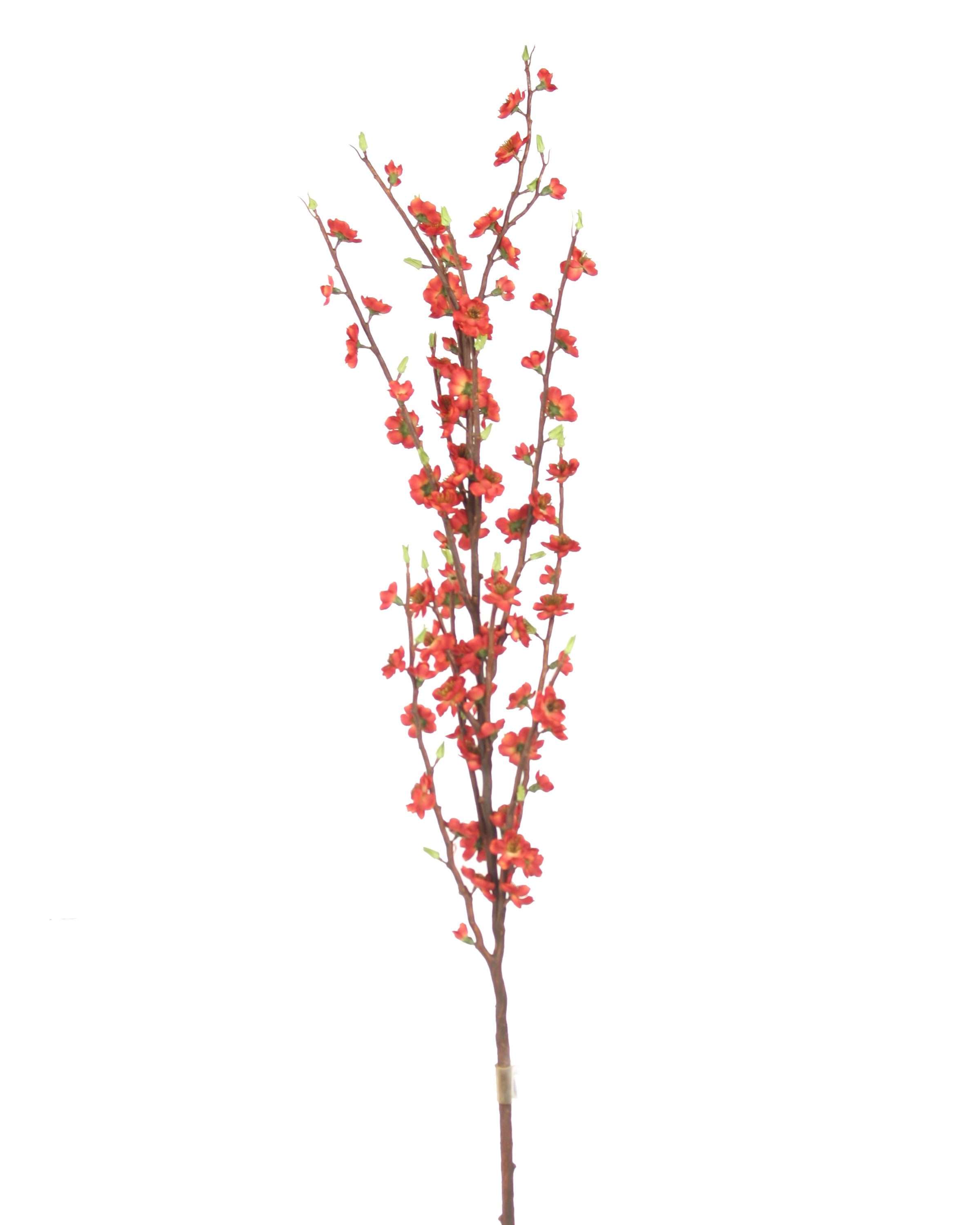 Primrue Cherry Blossom Stems | Wayfair