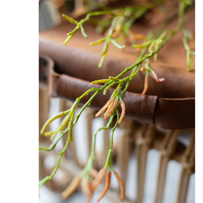 Primrue Japanese Zen Sedge Stems | Wayfair